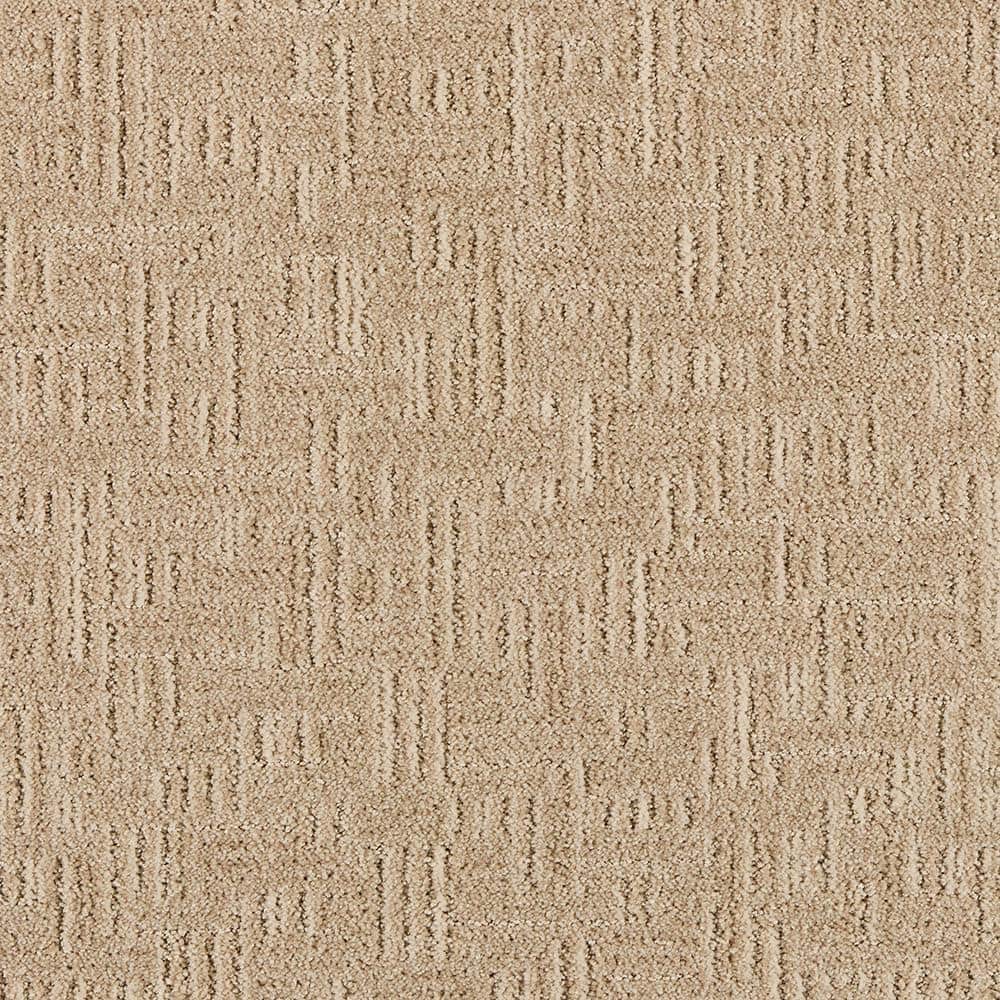 Home Decorators Collection Star of the Show Gentle Seashell Beige 37 oz ...