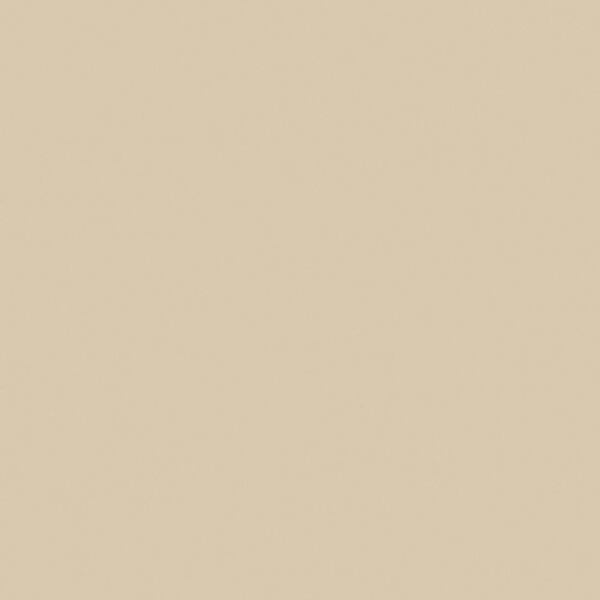 Wilsonart 5 ft. x 10 ft. Laminate Sheet in Light Beige with Matte ...