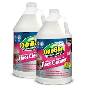 HOOVER 32oz. Renewal Hard Floor Cleaner Solution, Concentrated Formula ...