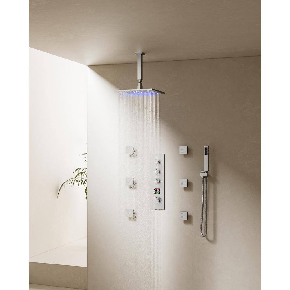 Everstein 7 Spray Patterns With 12 In Ceiling Mounted Massage Fixed