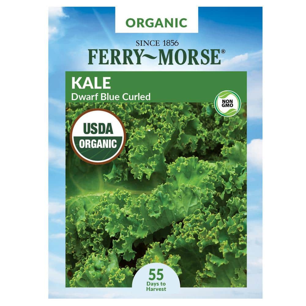 Ferry-Morse Organic Kale Dwarf Blue Curled Vegetable Seed 9634 - The ...