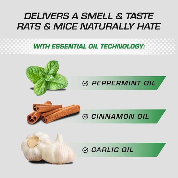 Essential oil to get rid of mice store