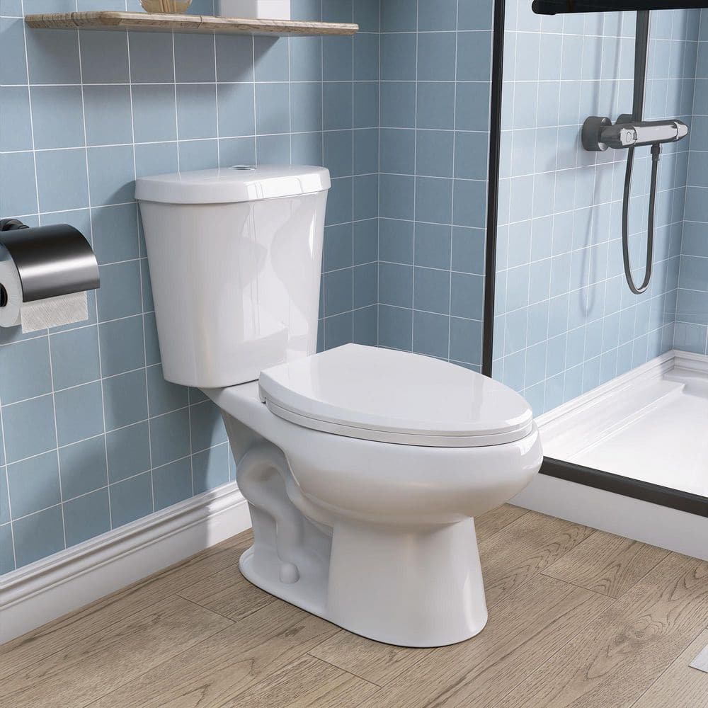 Home Depot Dual Flush Toilet