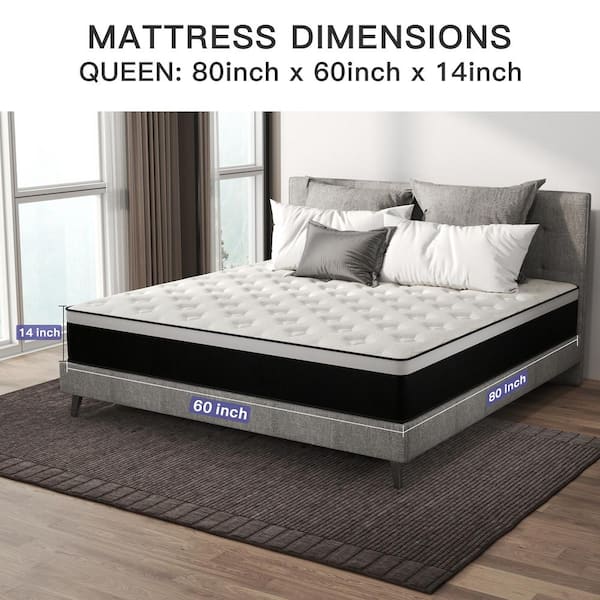 CHEVNI Soft Queen Medium Memory Foam 14 in. Bed in a Box Mattress HD 002H Queen
