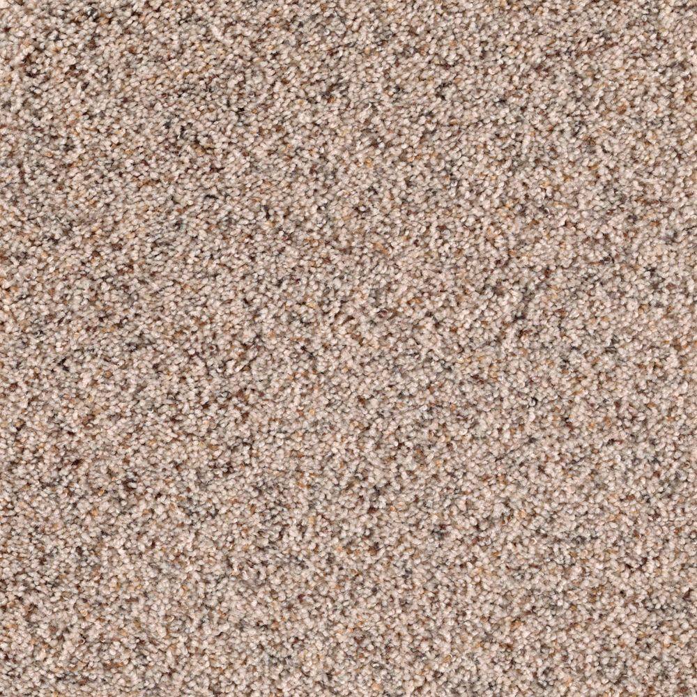 TrafficMaster Clifton Trail - Color Boulder Texture 12 ft. Carpet 0399D ...