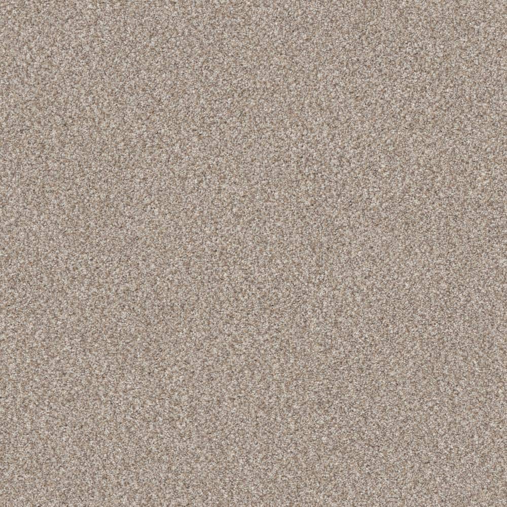 Reviews for Home Decorators Collection Columbus I - Daytona Sand ...