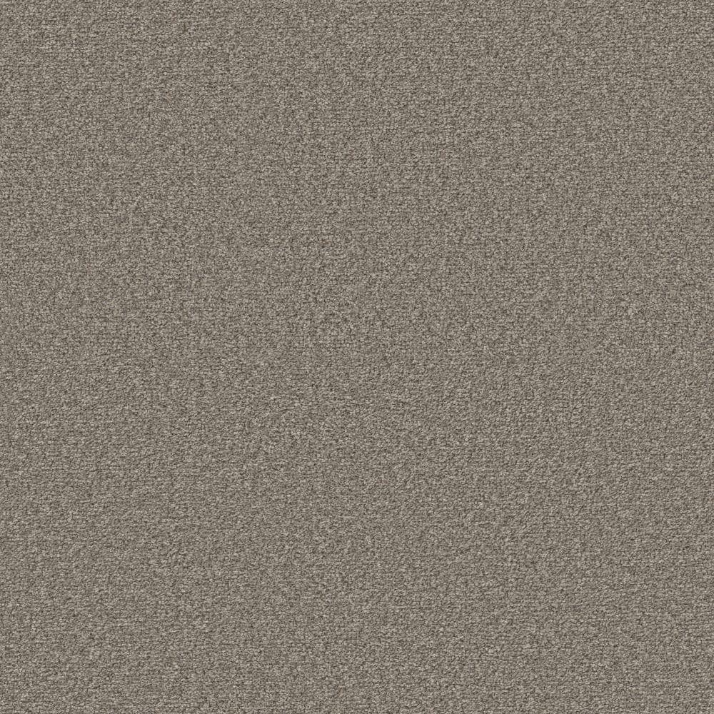 Home Decorators Collection 8 in. x 8 in. Texture Carpet Sample ...