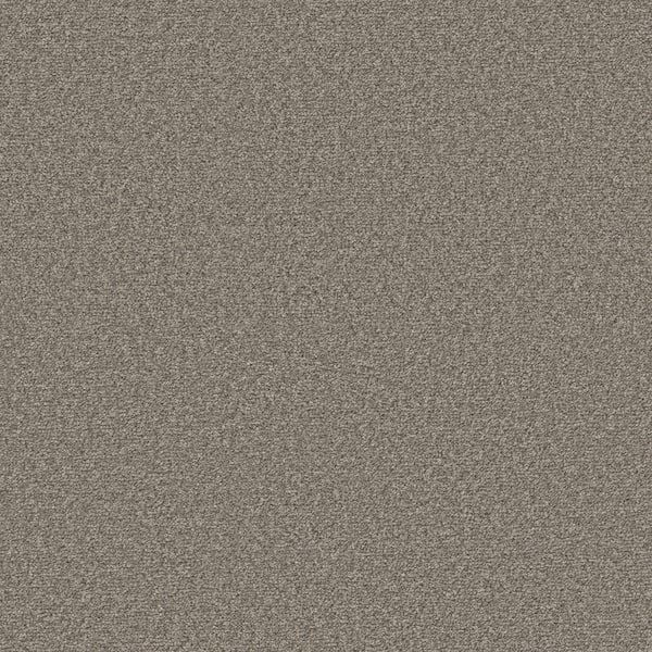 Home Decorators Collection 8 in. x 8 in. Texture Carpet Sample ...