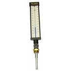 Palmer Instruments 9 in. Scale Plastic Industrial Thermometer (30 to ...