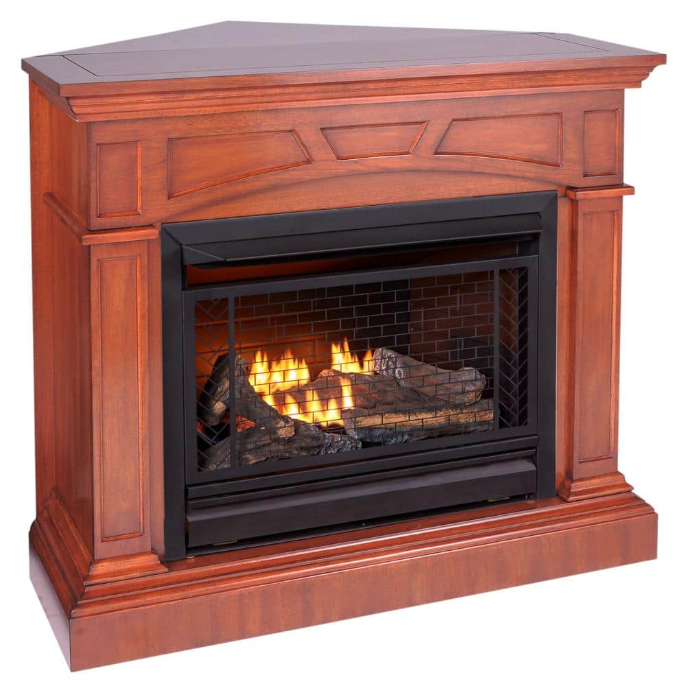 BLUEGRASS LIVING 26,000 BTU, Vent Free Natural Gas Fireplace System ...