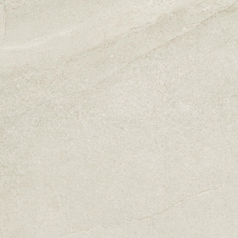 Daltile Calgary Legacy 24 in. x 24 in. Matte Porcelain Floor and Wall ...