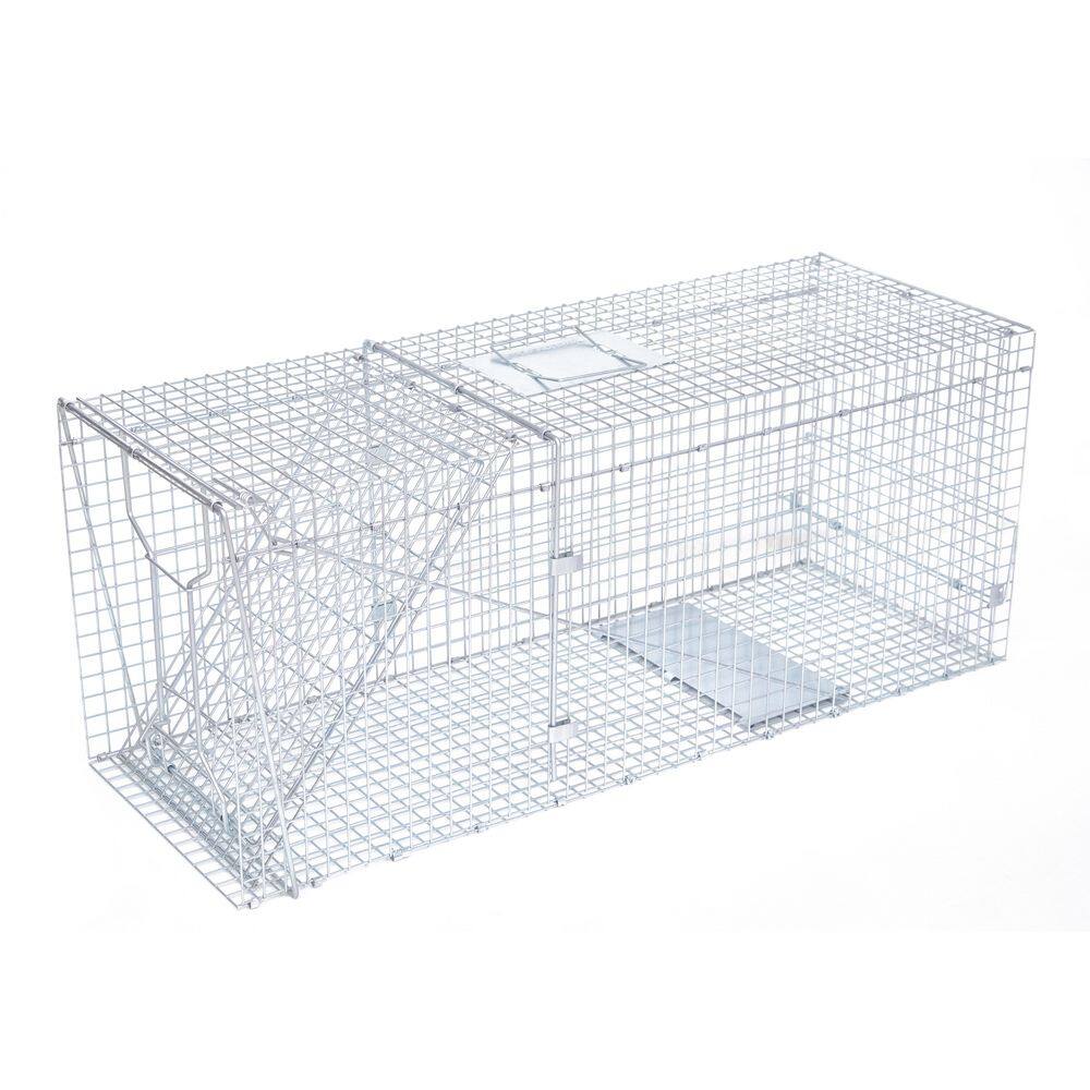 JT Eaton Answer Professional Live Trap for Coyotes, Foxes, Armadillos ...