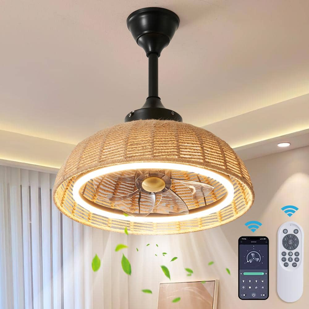 Deyidn 20.47 in. 30-Watt LED Indoor Black Smart Ceiling Fan with Lights ...