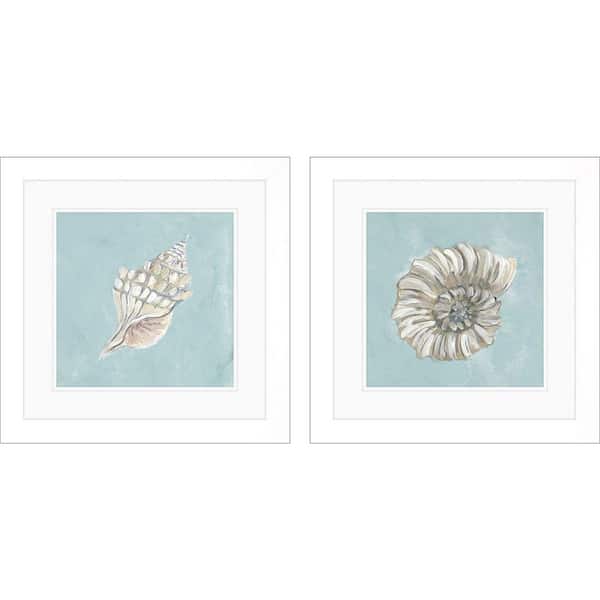 Paragon Seashell by DeRice 2 Piece Framed Giclee Coastal Art Print 19 ...
