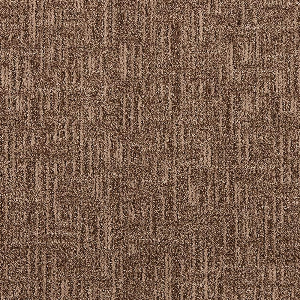 Home Decorators Collection Star of the Show Dazzling Brown 37 oz ...