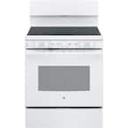 GE 30 in. 5.3 cu. ft. Electric Range with Self-Cleaning Convection Oven ...