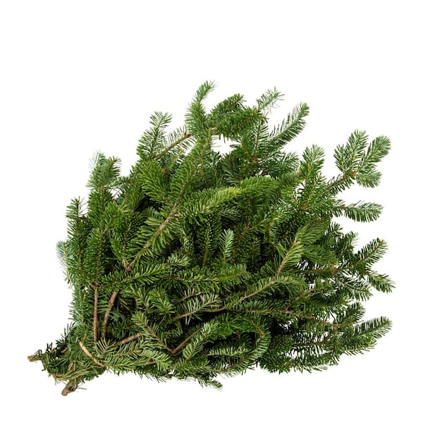 METROLINA GREENHOUSES 18 in. Holiday Greens Bough Bundle Fraser Fir (1 ...