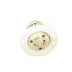 Leviton 15 Amp 250-Volt Flanged Outlet Grounding Locking Receptacle ...