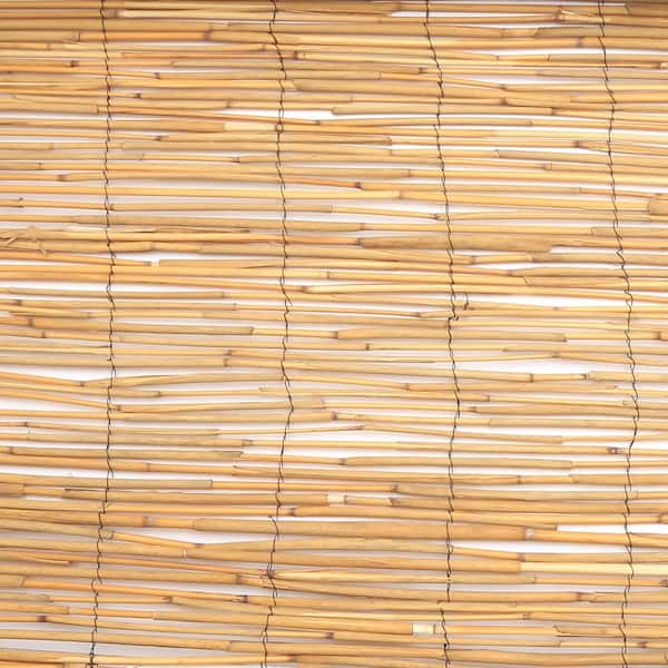 Vigoro 6 ft. H x 16 ft. W Natural Reed Fencing 4477412 - The Home Depot