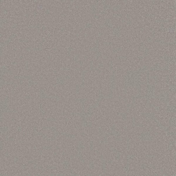 Shaw 8 in. x 8 in. Texture Carpet Sample-Park Royal I-Color Overcast SH ...