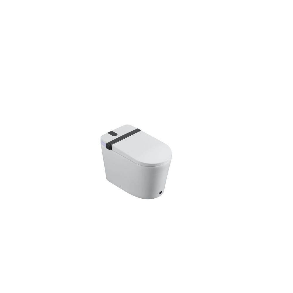 SANFANGIE NB Elongated Bidet Toilet 1.28 GPF in White w/Auto Open/Close ...