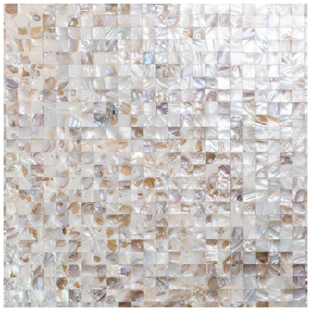 Apollo Tile Concha 4 in. x 5 in. Polished White, Beige Shell, Mother of ...