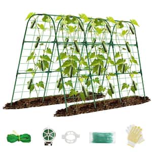 79 in. x 48 in. Metal Garden Arch Trellis for Cucumbers and other ...