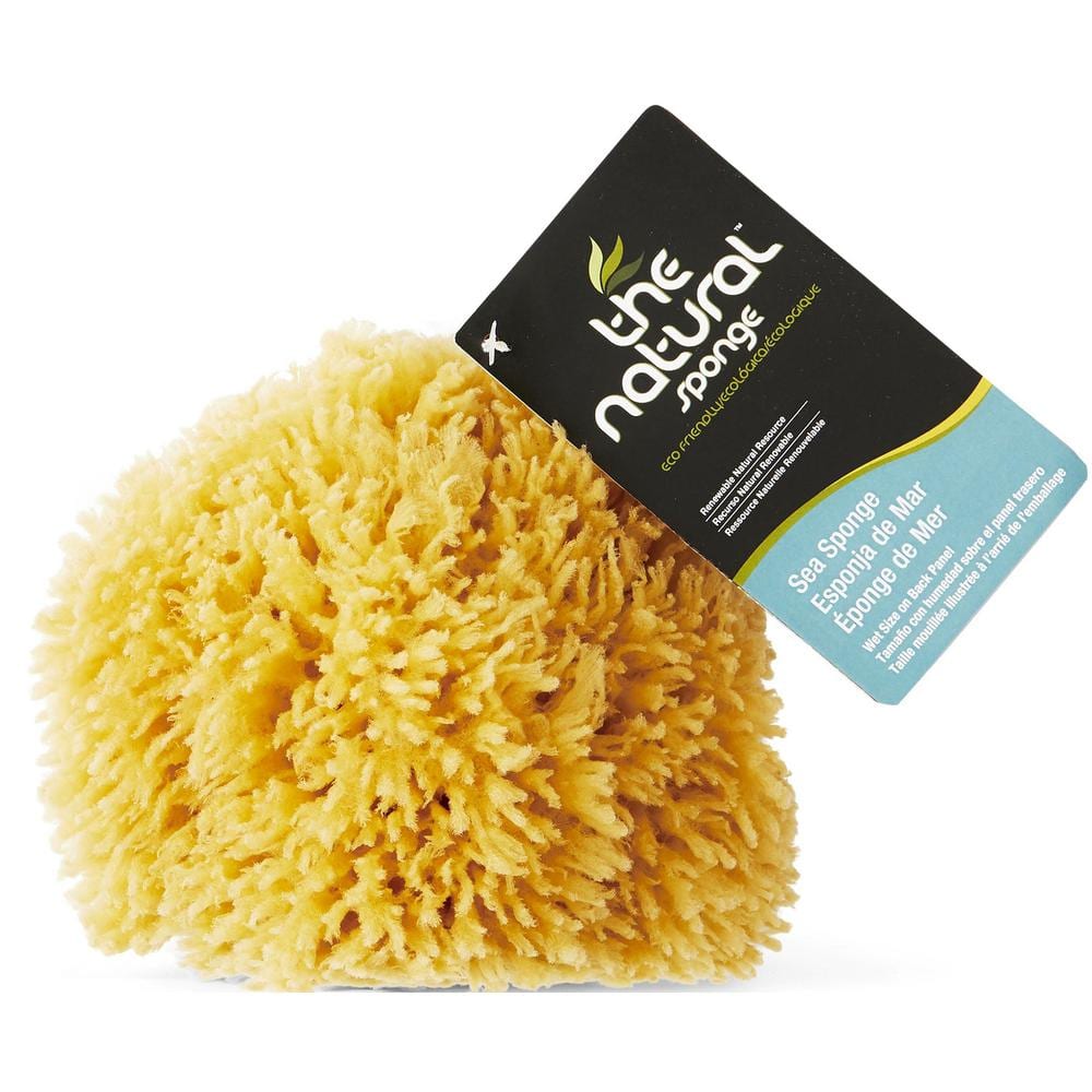 The Natural 7 in. Natural Sea Sponge (Case of 6) 8070 - The Home Depot