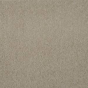 Natural Harmony 6 in. x 6 in. Texture Carpet Sample - Feather - Color ...