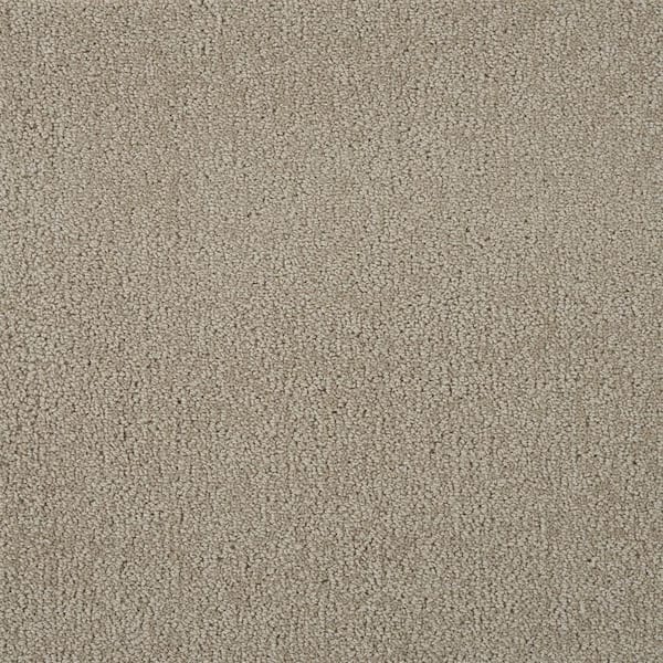 Natural Harmony 6 in. x 6 in. Texture Carpet Sample - Feather - Color ...