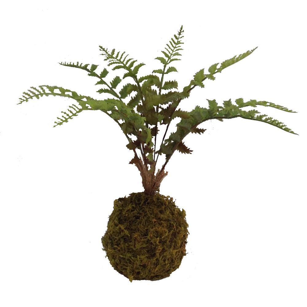 13 in. Artificial Moss Ball Fern Boston 1269X2401 - The Home Depot