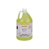 MMR Professional 1-gal. Instant Mold and Mildew Stain Remover MMR1G ...