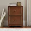 Home Decorators Collection Bradstone 2 Drawer Walnut Brown Wood File ...