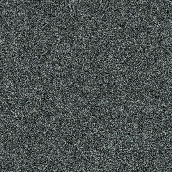 Lifeproof Cinderella Soft II-Delicate Blue-75 oz. SD Polyester Texture ...