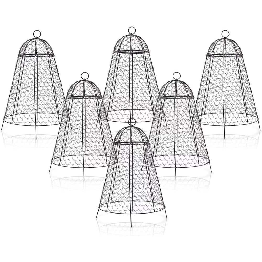 Wellco 22 x 12 x 12 in. Black Metal Chicken Wire Plant Protectors for ...