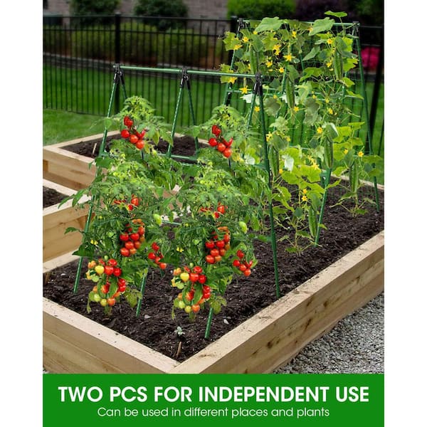 Tomato Cucumber Trellis