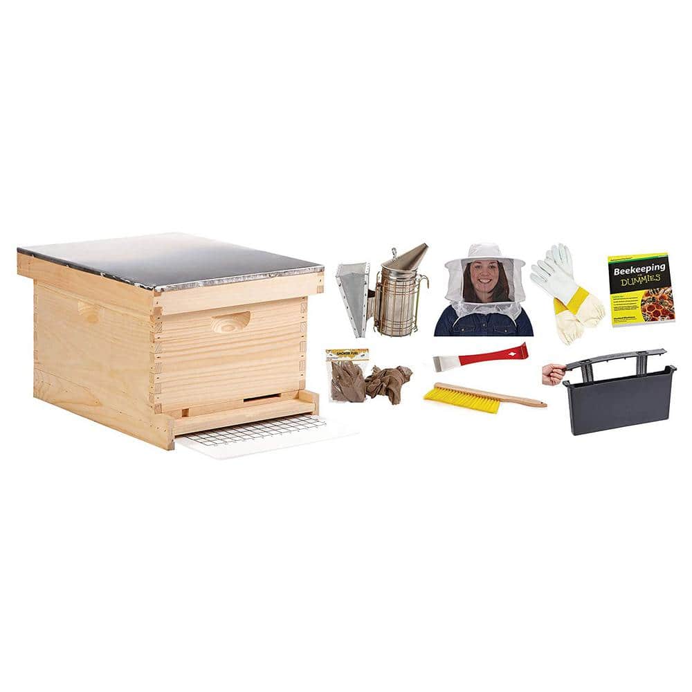 Little Giant 10-Frame Deluxe Beginner Backyard Beekeeping Hive Starter ...