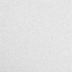 USG Ceilings 2 ft. x 2 ft. Glacier White Shadowline Edge Lay-In Ceiling ...