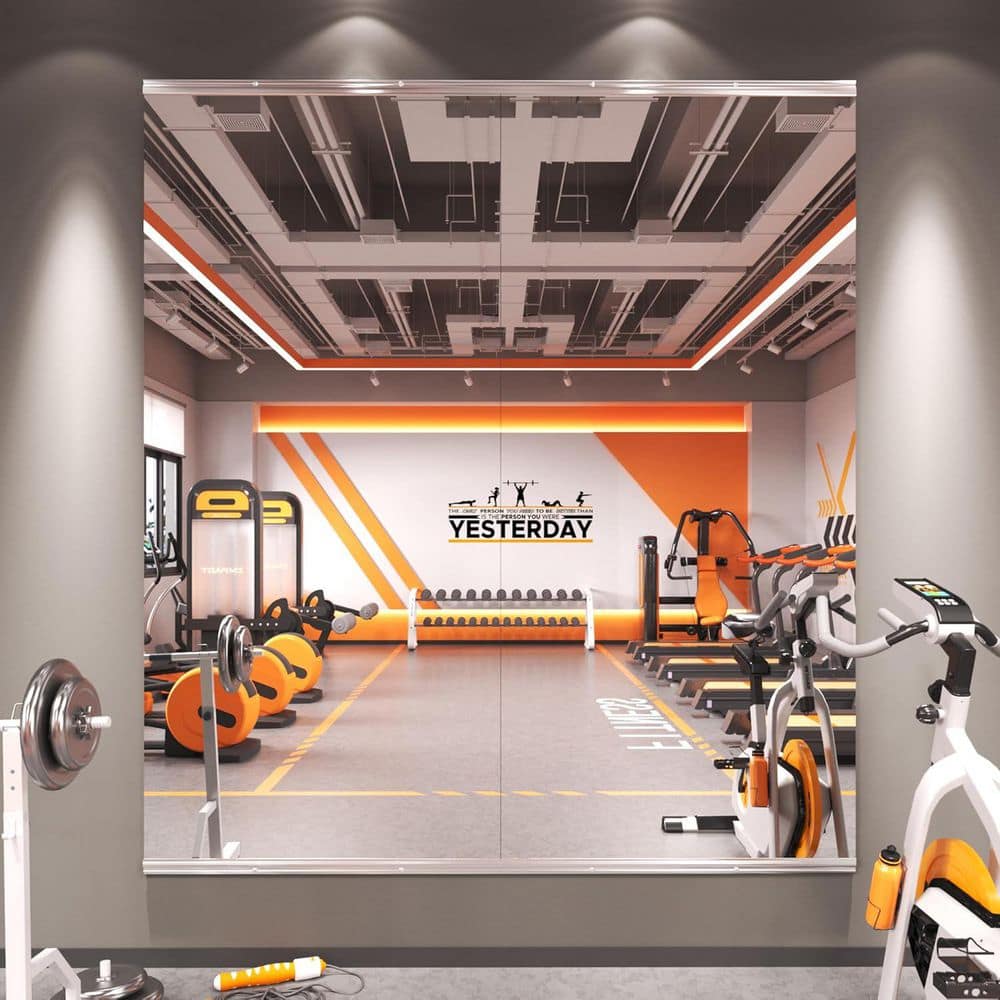 Spigel Modern 24 in. W x 63 in. H Frameless Wall Mirror HD Tempered Glass Gym Mirror/Yoga Mirror ...