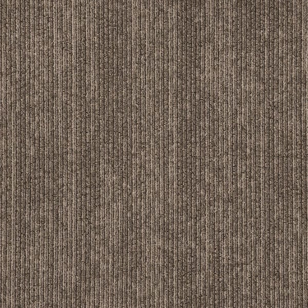 Mohawk 8 in. x 8 in. Textured Loop Carpet Sample - Elite -Color - Elm ...