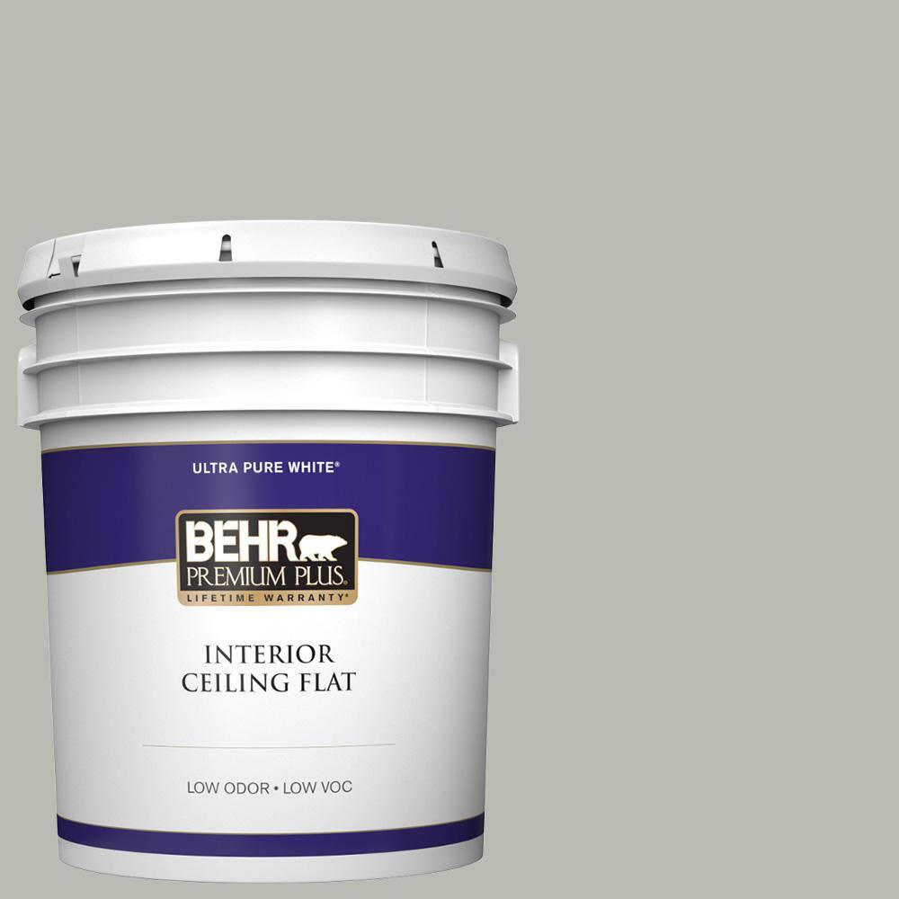 BEHR PREMIUM PLUS 5 gal. #N380-3 Weathered Moss Ceiling Flat Interior ...