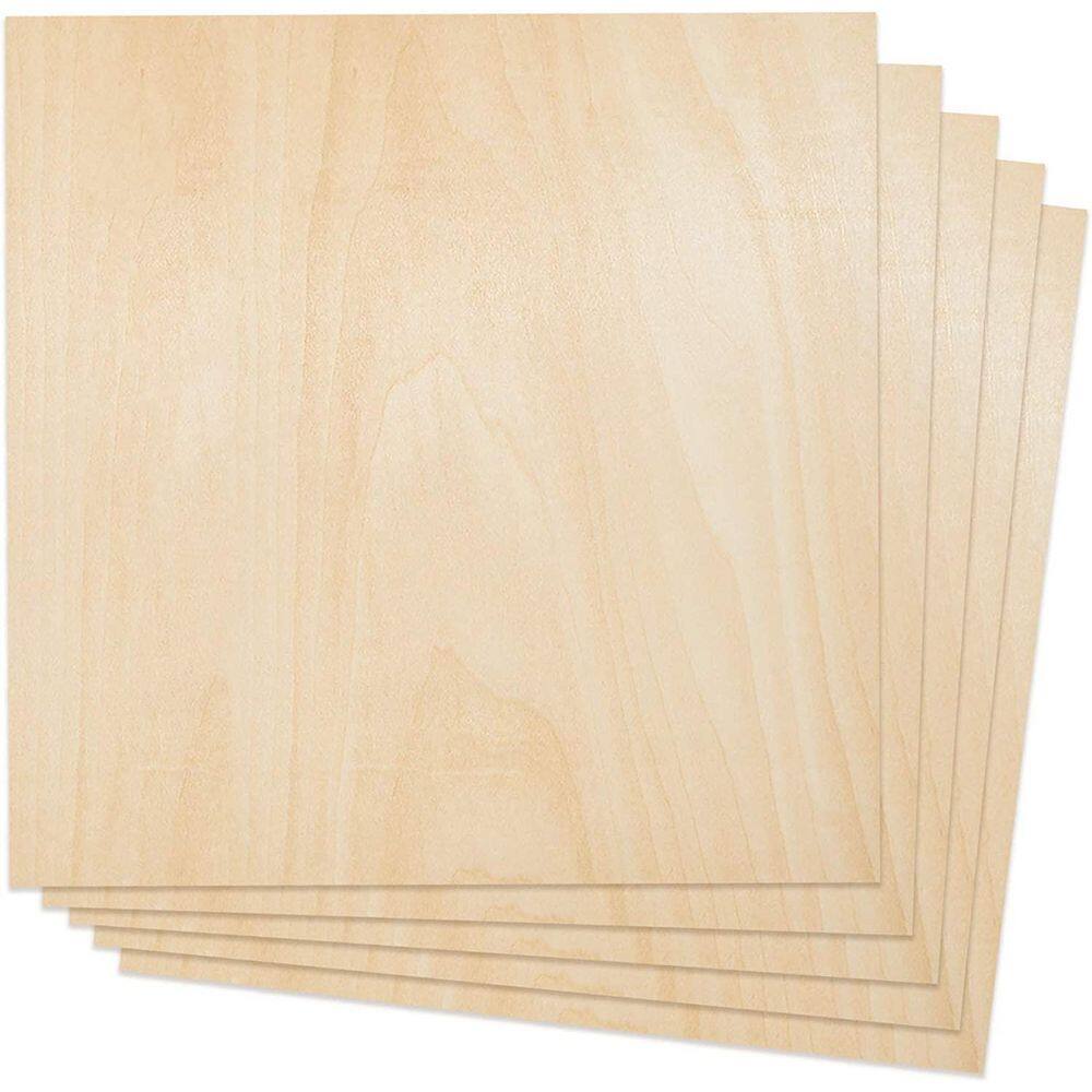 EPIPHANY DOUBLED INC 0.005 in. x 1 ft. x 1 ft. Sanded Plywood 5-Pack ...