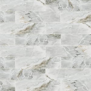 MSI Take Home Tile Sample-Hornbill 4 in. x 4 in. Glossy Ceramic Wall ...