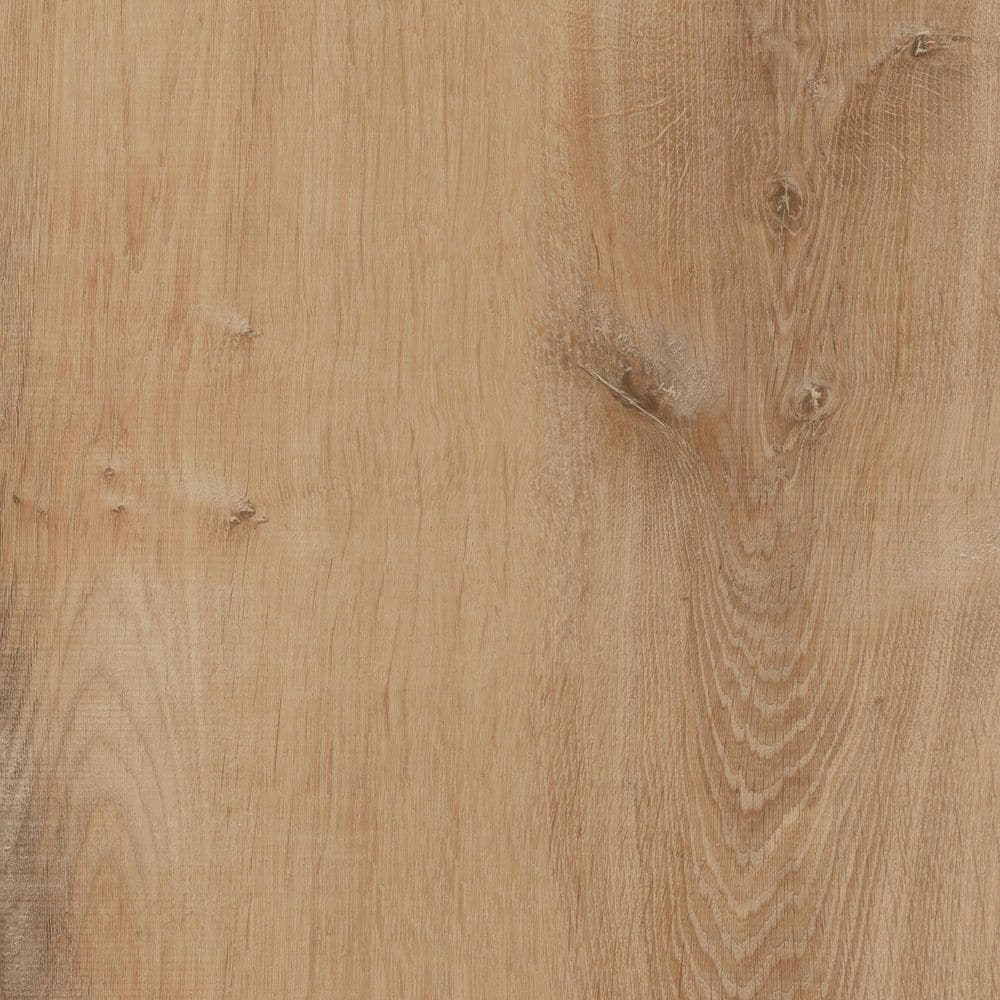 Lifeproof Take Home Sample-Fresh Oak Glue Down Waterproof Luxury Vinyl ...
