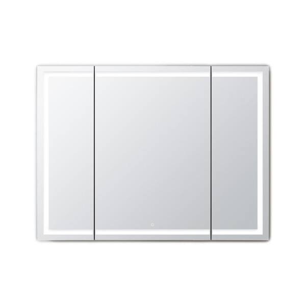 Aquadom Royale Plus 40 in. W x 30 in. H Clear Recessed/Surface Mount ...