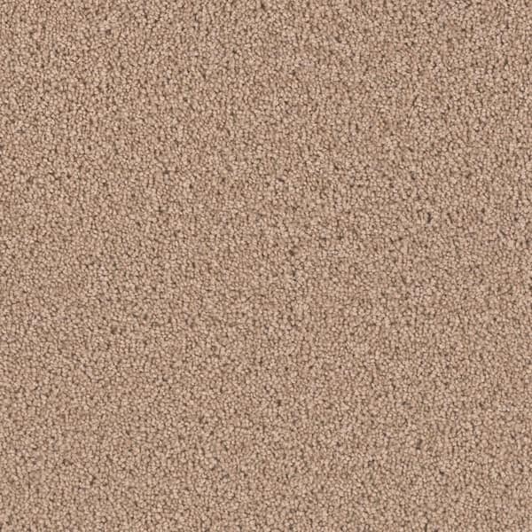 Home Decorators Collection 8 in. x 8 in. Texture Carpet Sample ...