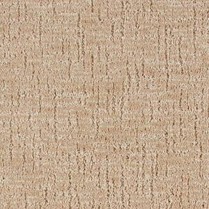 8 in. x 8 in. Pattern Carpet Sample - Truse -Color Heirloom MO-448017 ...