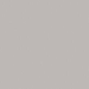 Wilsonart 4 ft. x 12 ft. Laminate Sheet in Grey Glace with Matte Finish ...