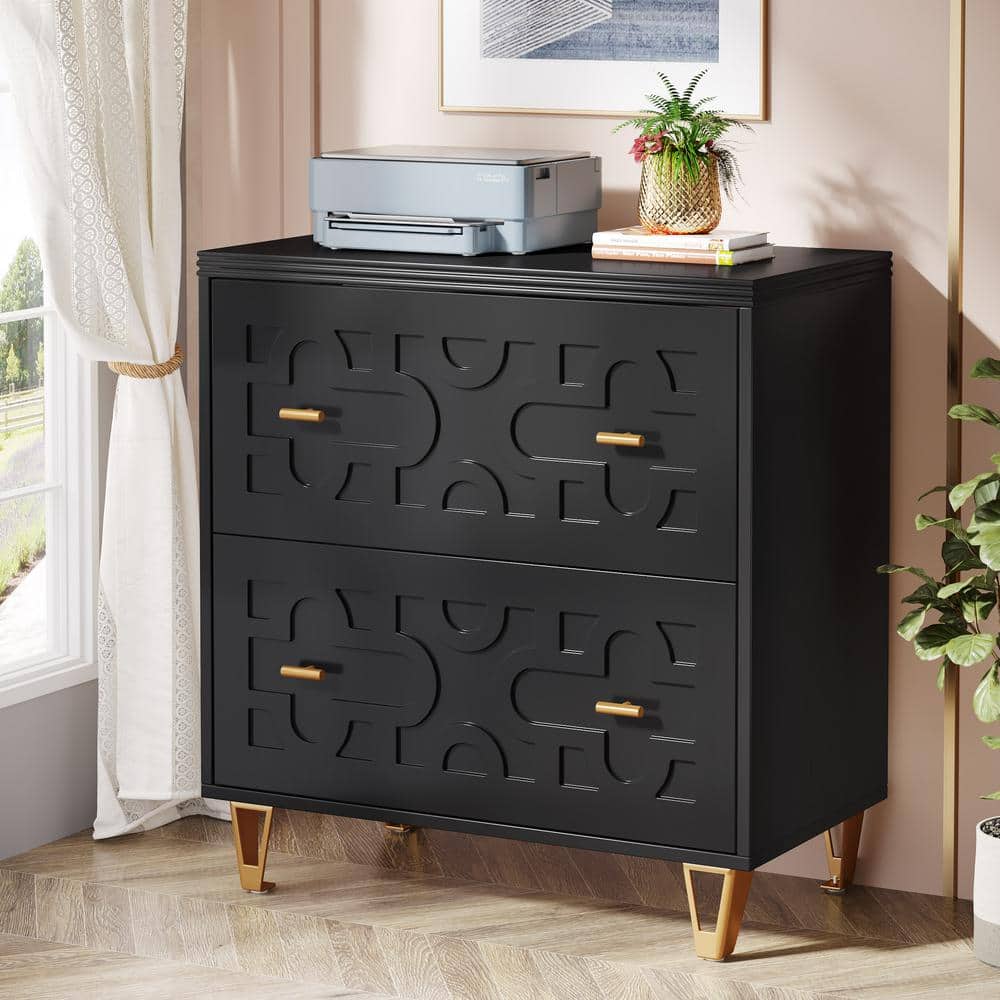 BYBLIGHT Atencio 2-Drawer Black Engineered Wood 31 in. W Lateral File ...
