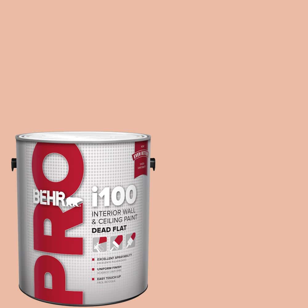 BEHR PRO 1 gal. #M200-3 Sunset Drive Dead Flat Interior Paint PR10501 ...